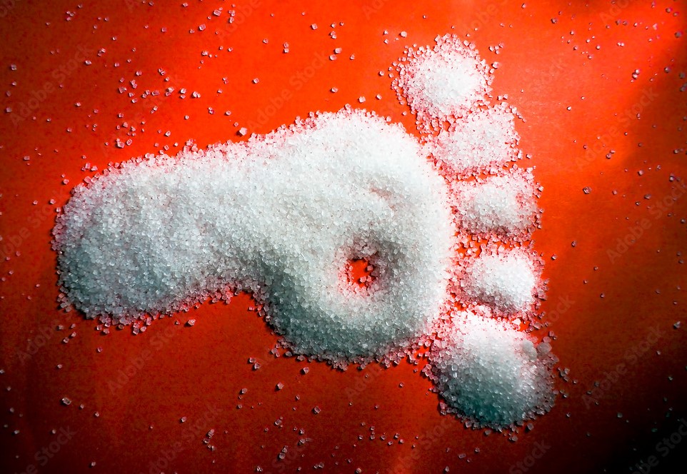 Cybion - Transverse Tibia Transport System | Biomedica Italia S.r.l.